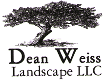 Dean Weiss Landscape